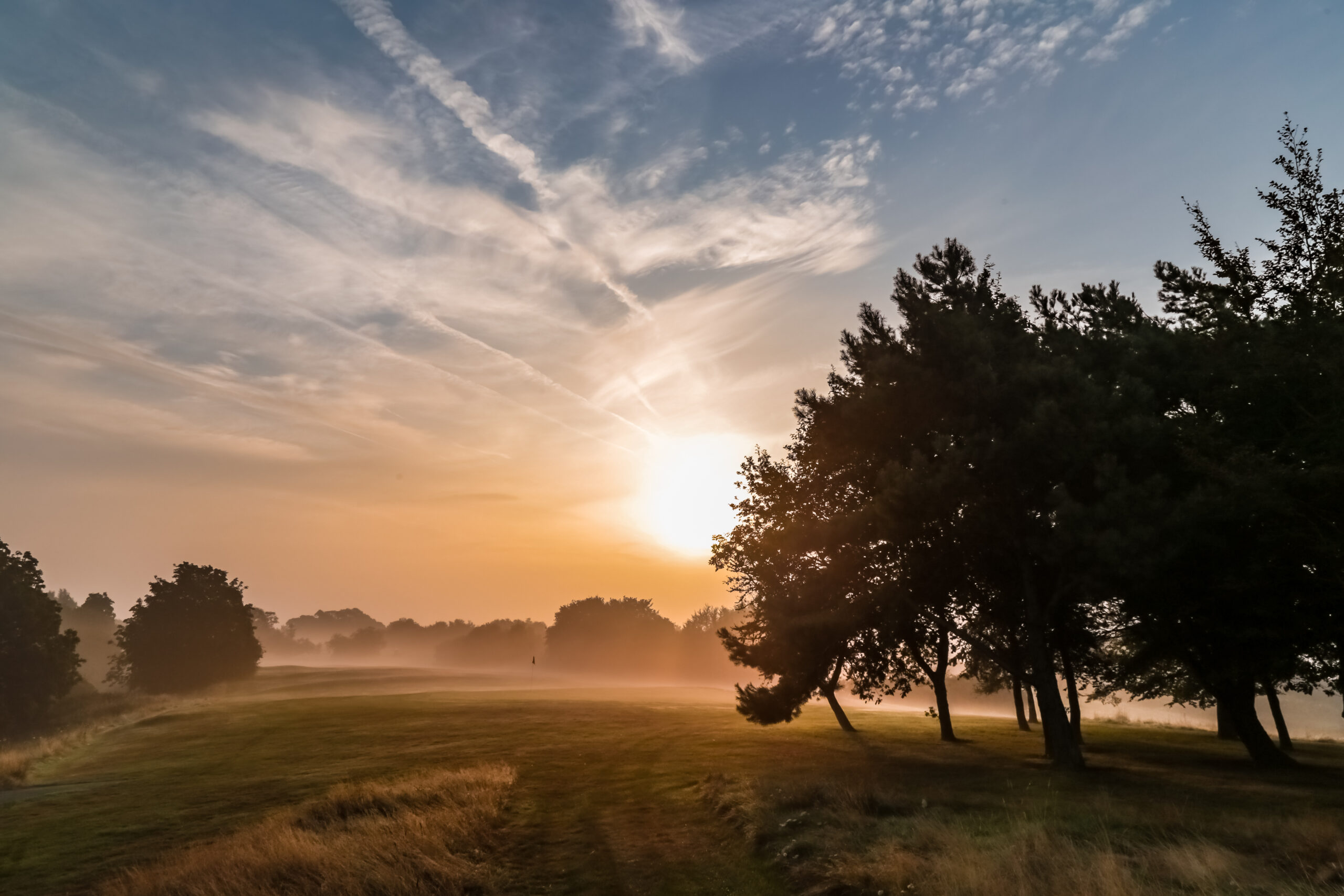 Newly Accredited Manager Spotlight: Reece Miller - GCMA